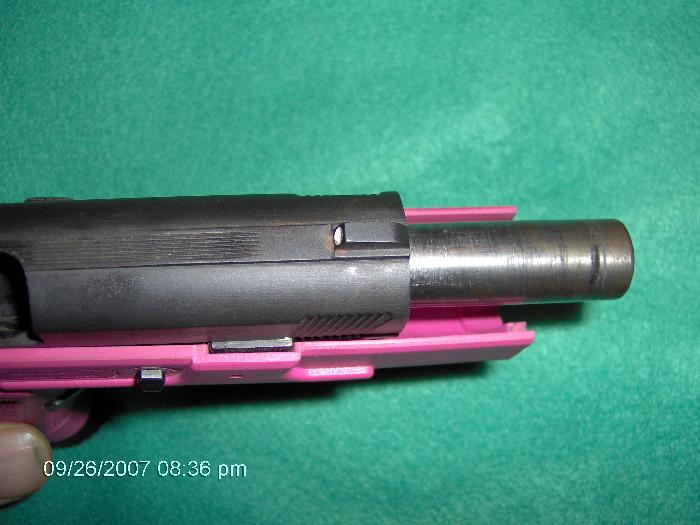 European American Armory Corp. Eaa Witness P-Series Compact Lady .45acp ...