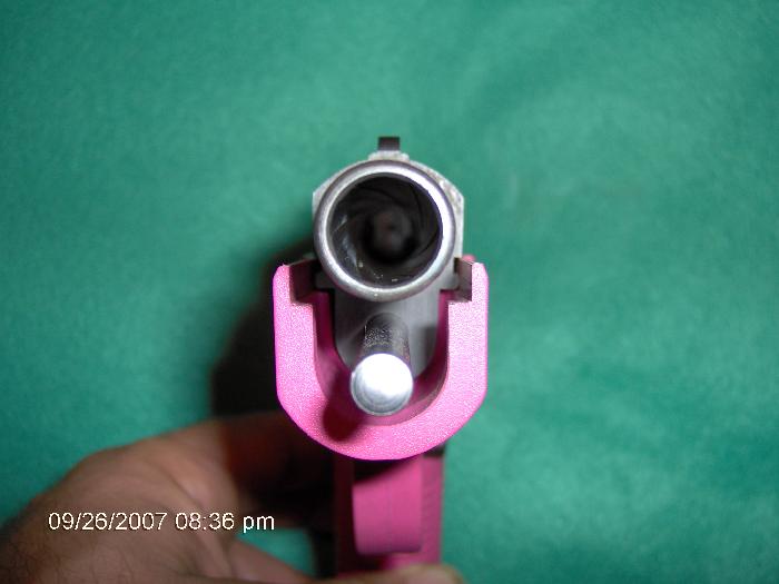 European American Armory Corp. Eaa Witness P-Series Compact Lady .45acp ...