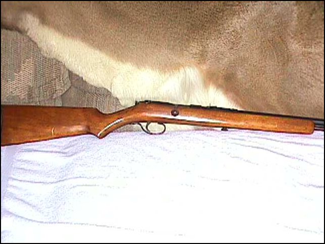 Stevens, J. Arms Co. Stevens Model 66 Bolt Action 22 Rf For Sale at ...