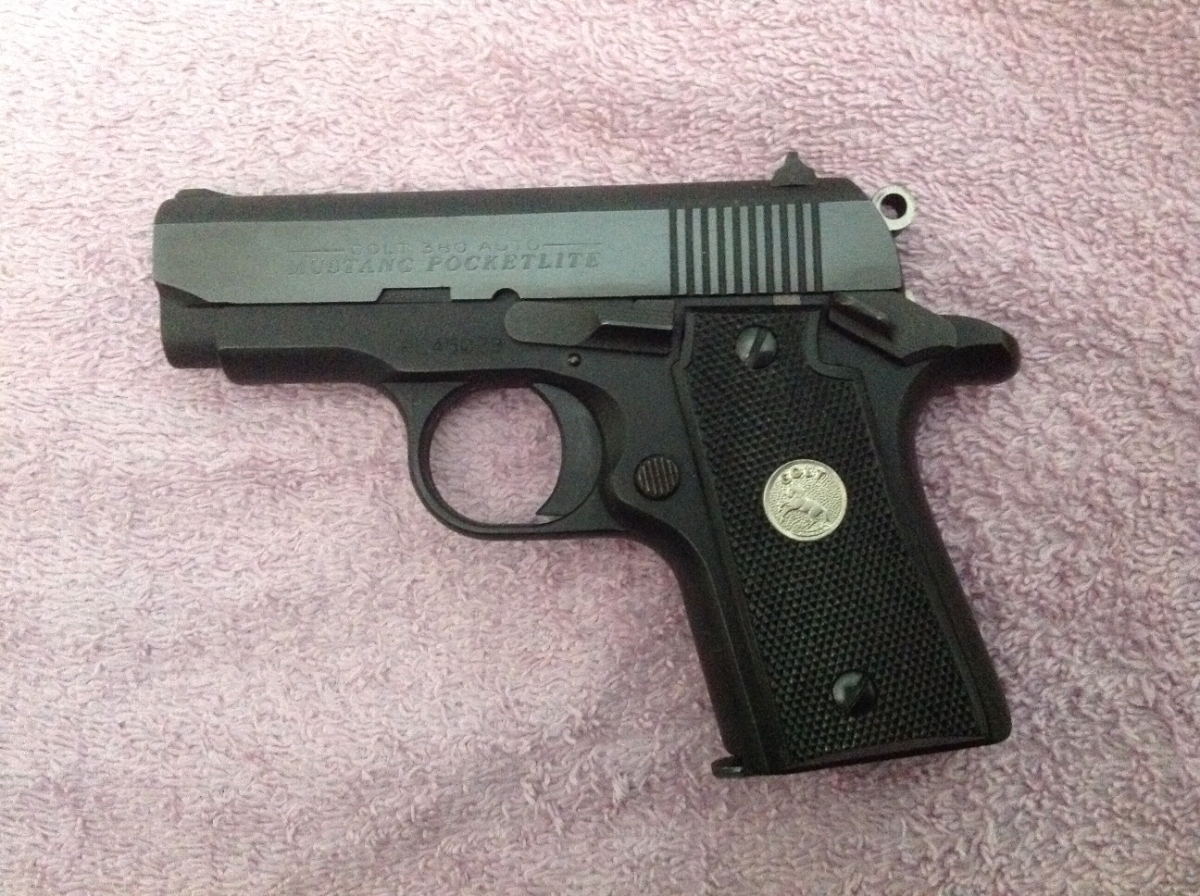 Colt Mustang 380 .380 Acp For Sale at GunAuction.com - 15609213