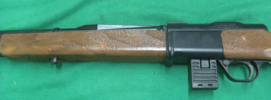 Daisy Model 2203 .22 Caliber Semi-Auto Rifle Adjustable Stock Youth ...