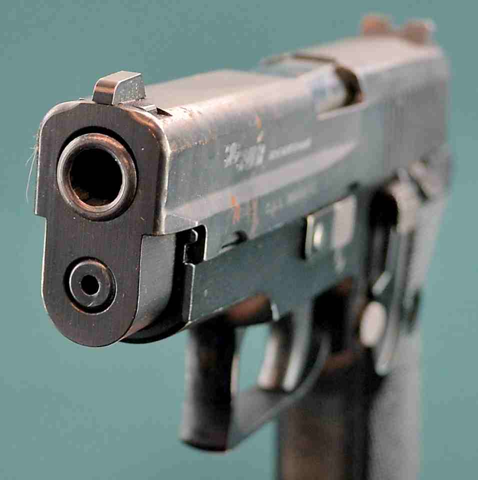 Sig Sauer Model P6 9mm Semi-Auto Pistol For Sale at GunAuction.com ...