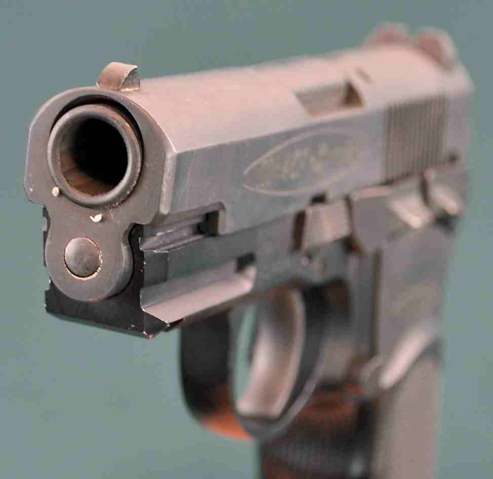 Bersa Model Mini 45 Firestorm Pro Semi-Auto Pistol For Sale at ...