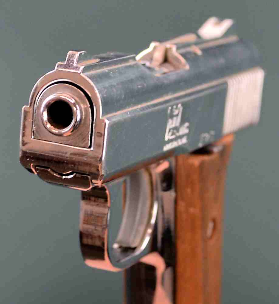 Raven Arms Model Mp-25 .25acp Semi-Auto Pistol For Sale at GunAuction ...