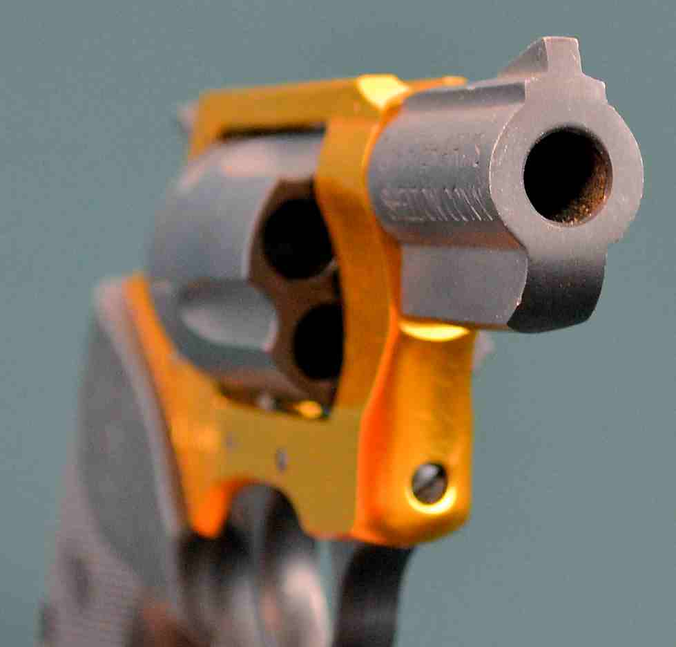 Charter Arms Model Goldfinger .38spl Revolver For Sale at GunAuction ...