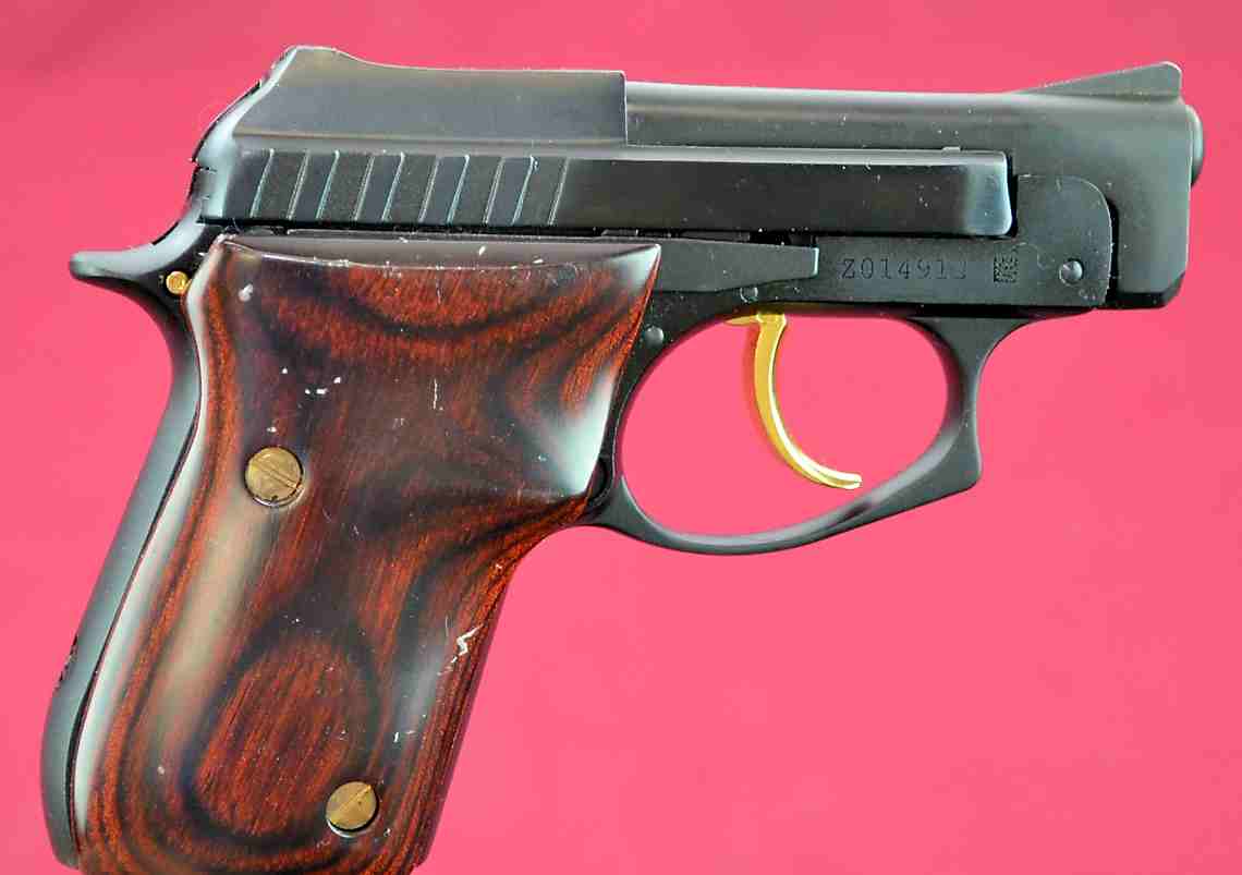 Taurus Model Pt-22 .22lr Semi-Auto Pistol For Sale at GunAuction.com ...