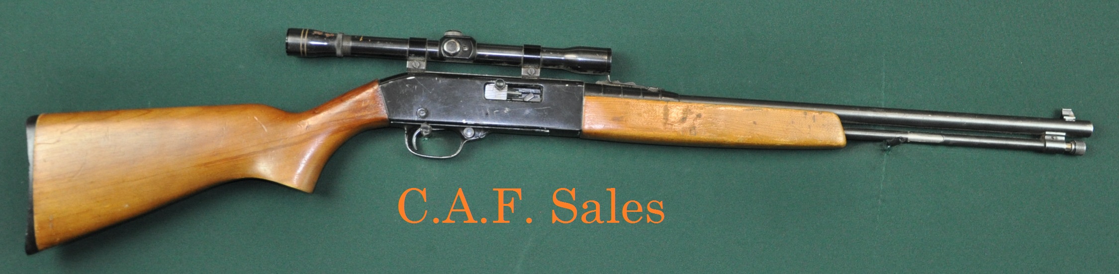 Ted Williams Model 3t .22 Cal Semi-Auto Rifle W/Scope For Sale at ...