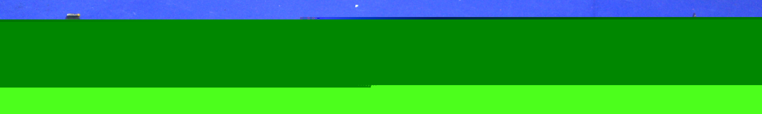 Revelation Model 200 .30-30 Lever Action Rifle For Sale at GunAuction ...